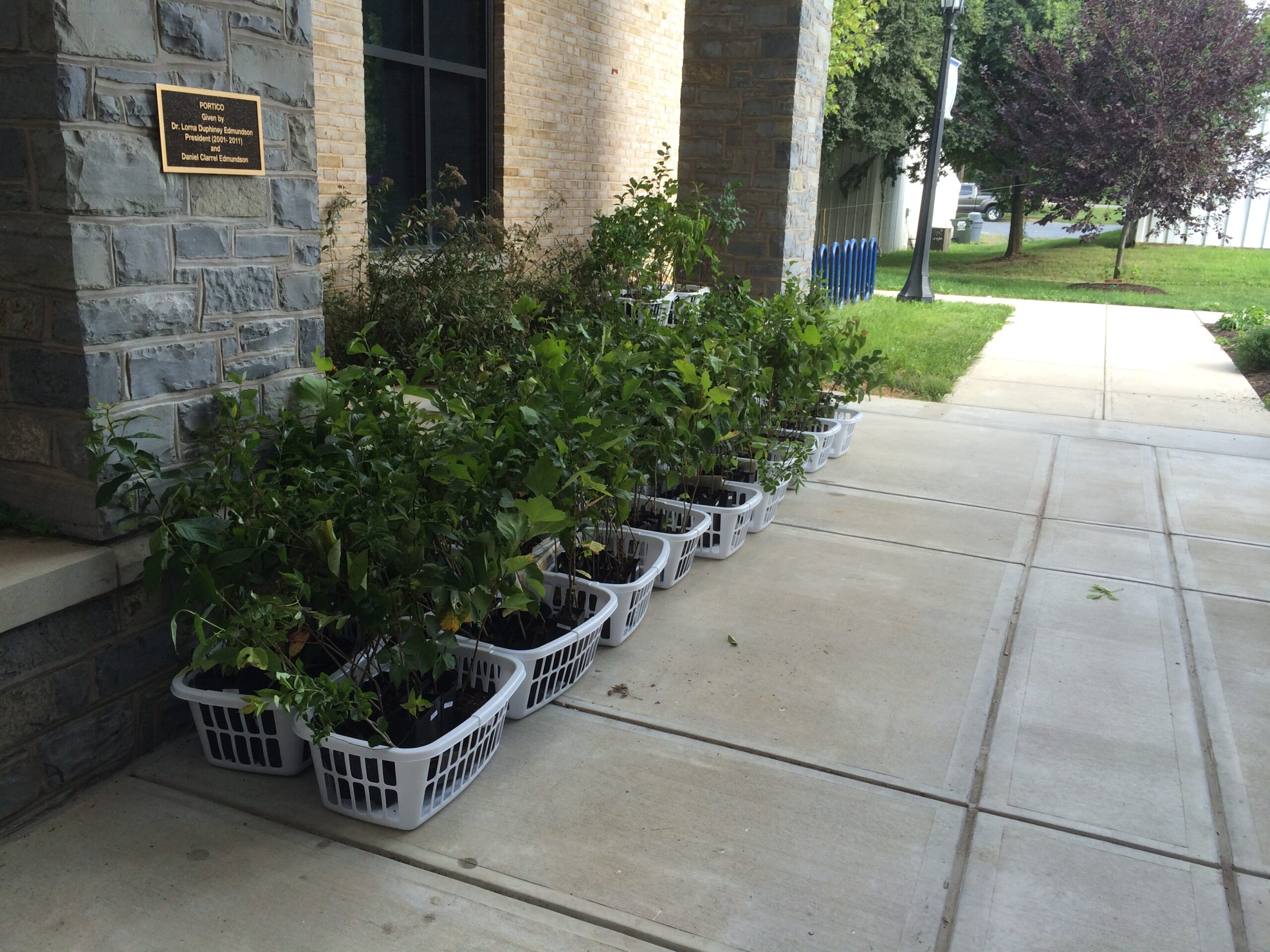 Streamside Forest Buffers are Important for Water and Wildlife ...