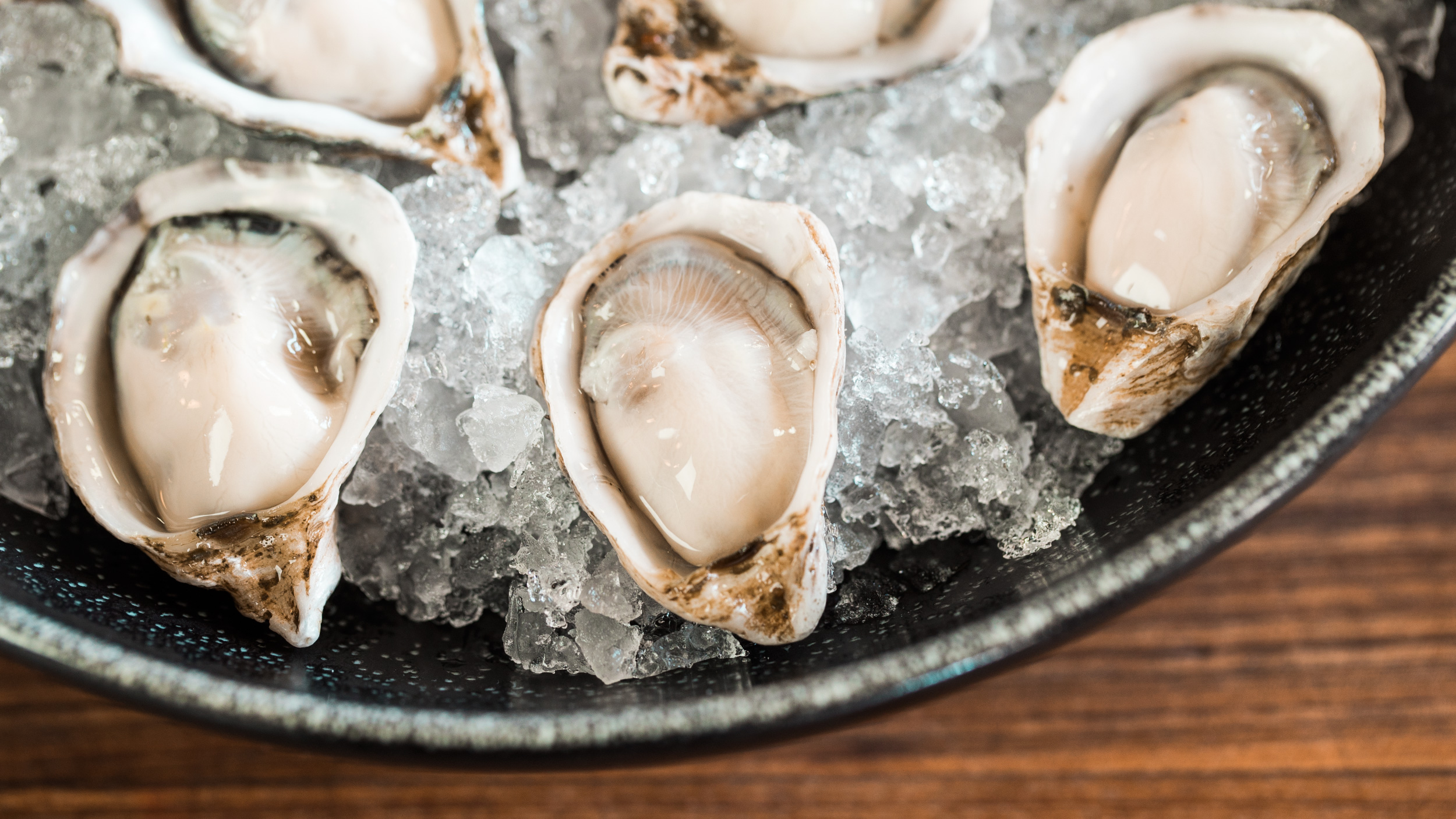 Kicking Off Oyster Season with Events Across the Chesapeake - Alliance ...