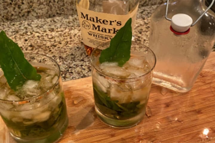 Native Cocktails: Mountain Mint Julep - Alliance for the Chesapeake Bay