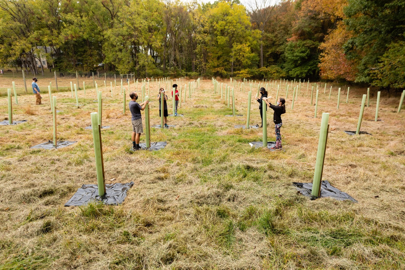 Fall Volunteer Tree Plantings: Socially Distanced and Still A Success ...