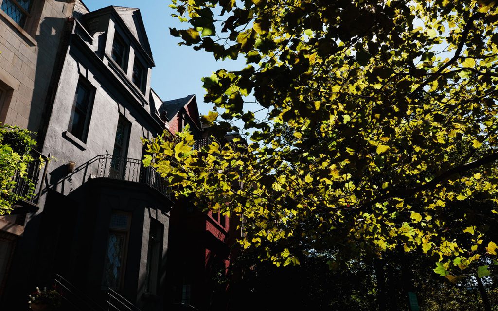 Year of the Woman: Rebecca Stack - Alliance for the Chesapeake Bay