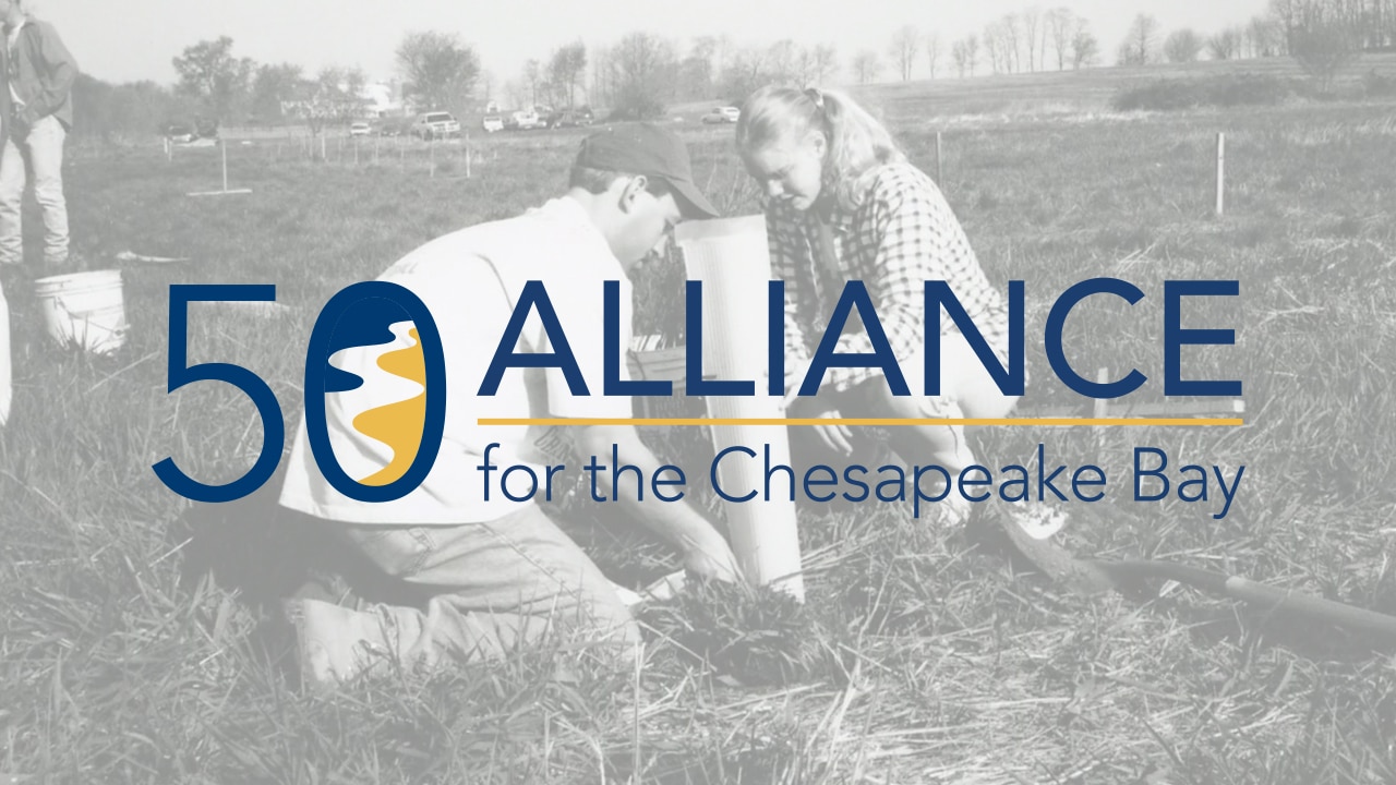 50 Years Fighting For The Chesapeake - Alliance for the Chesapeake Bay