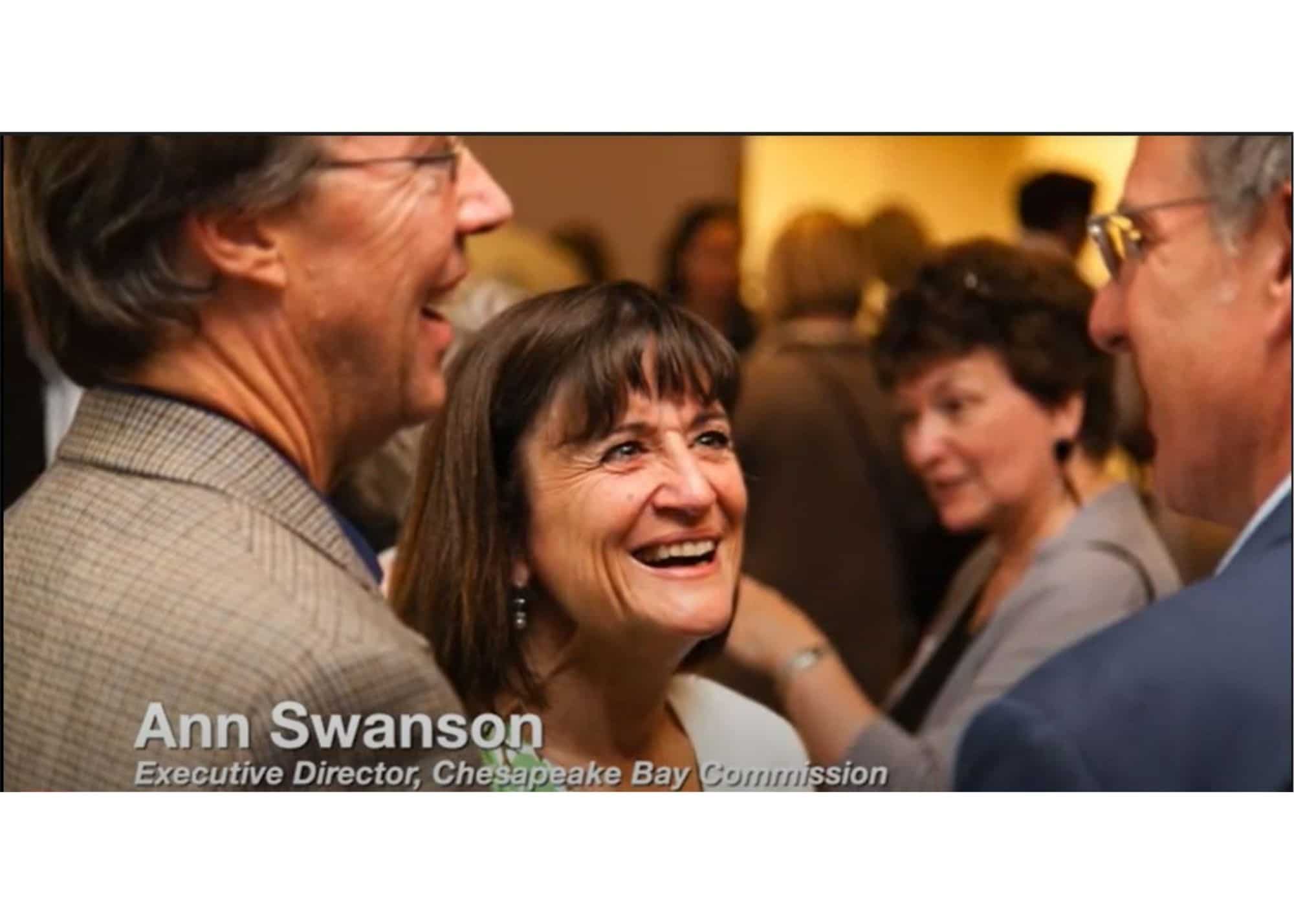 50 Stories: Interview with Executive Director of the Chesapeake Bay ...