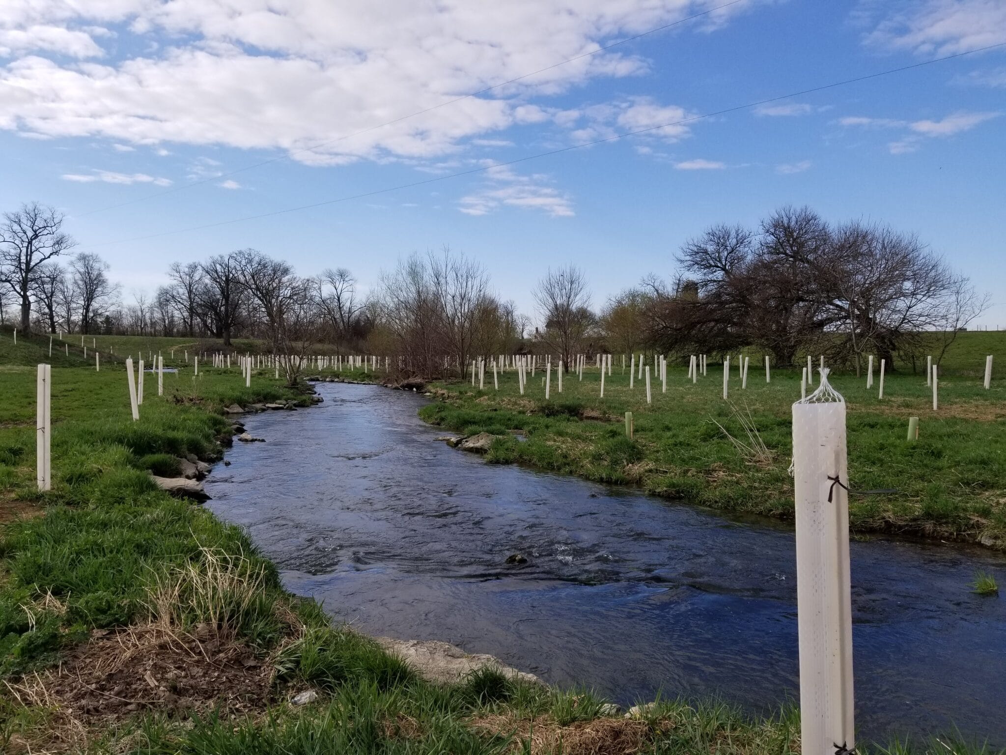 Buffer Planting and Farm Tour - Alliance for the Chesapeake Bay