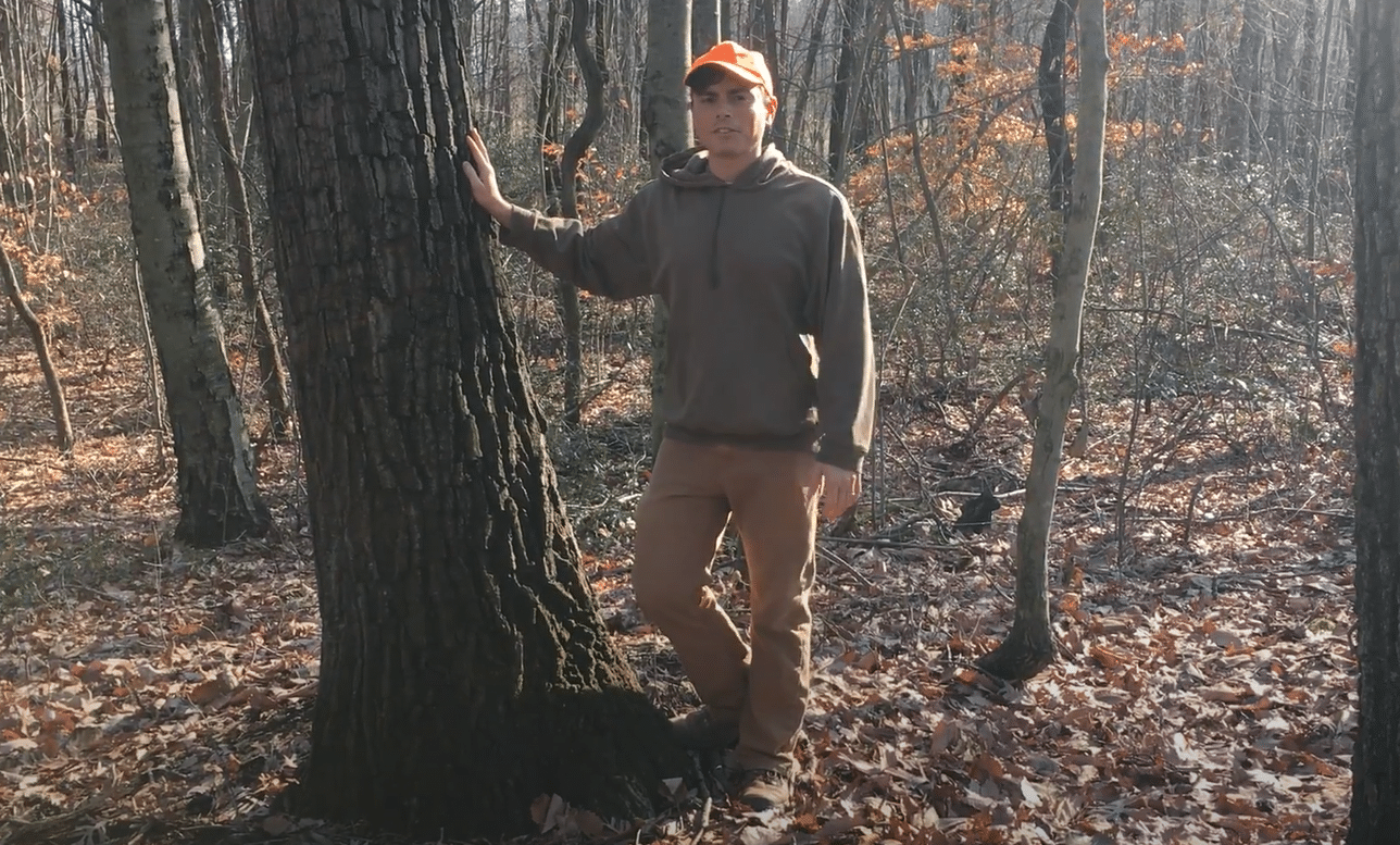 "Tree Talk" Turns Three! - Alliance for the Chesapeake Bay