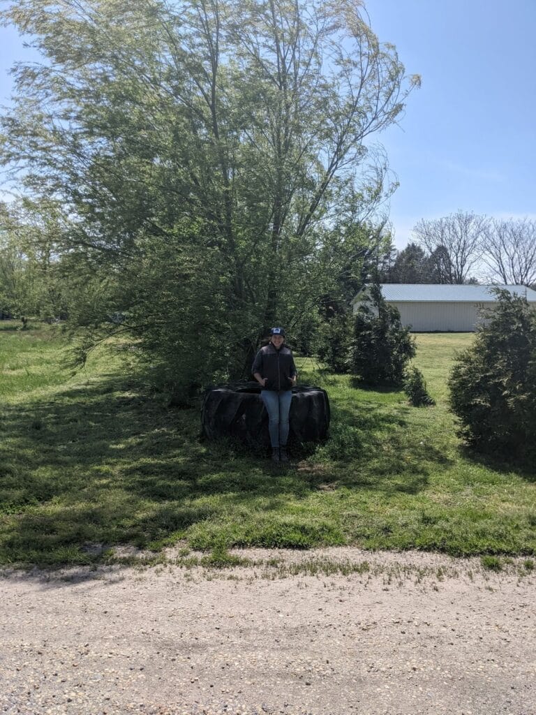 Reducing Poultry Emissions by Implementing Vegetative Buffers ...