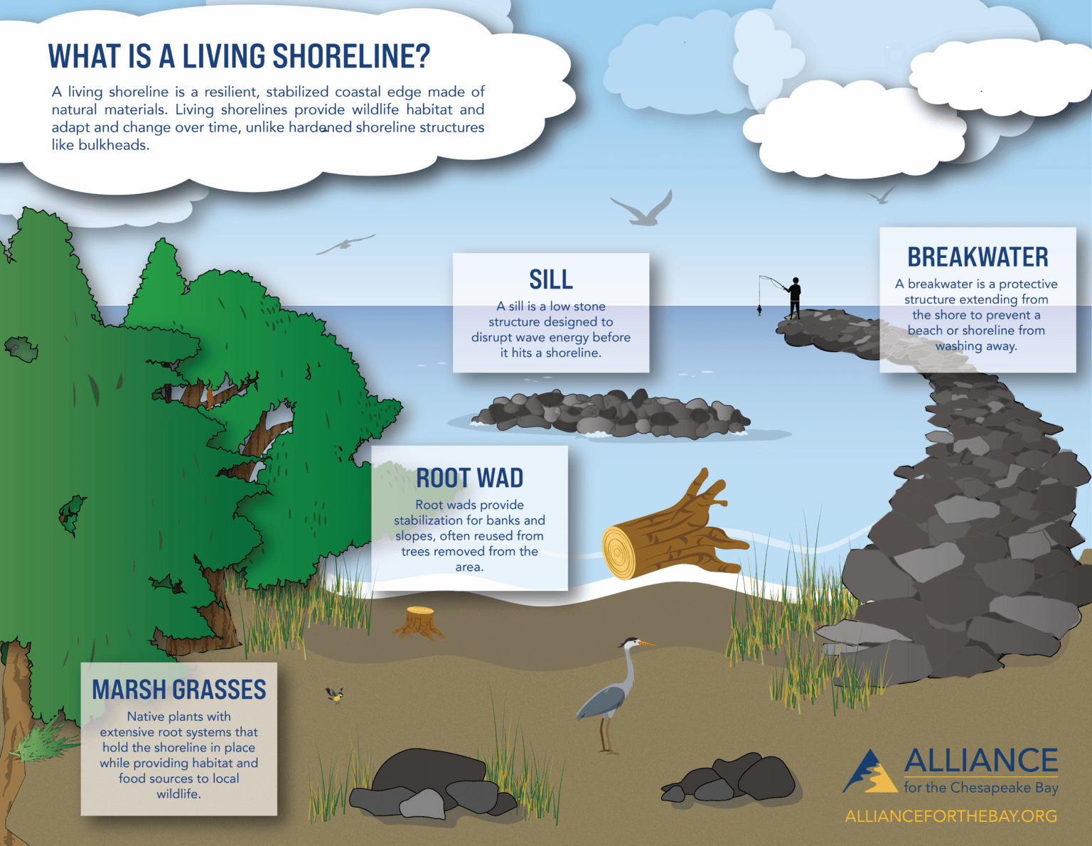 Living Shorelines - Alliance for the Chesapeake Bay