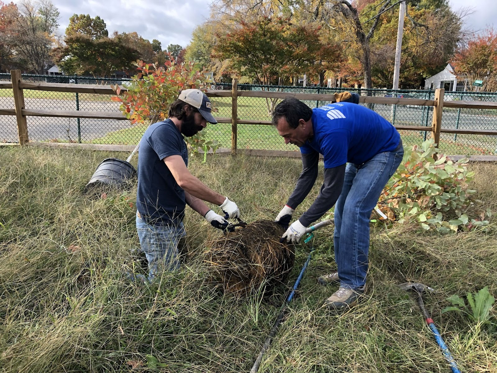 Maintaining a Conservation Garden at John B. Cary - Alliance for the ...