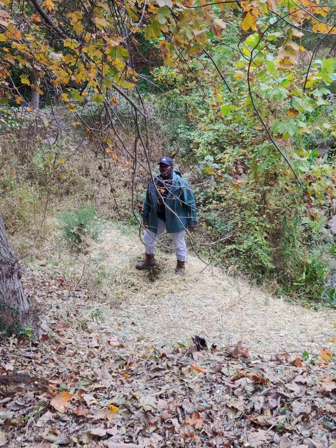 Strengthening and Building "Buffer" Partnerships - Alliance for the ...