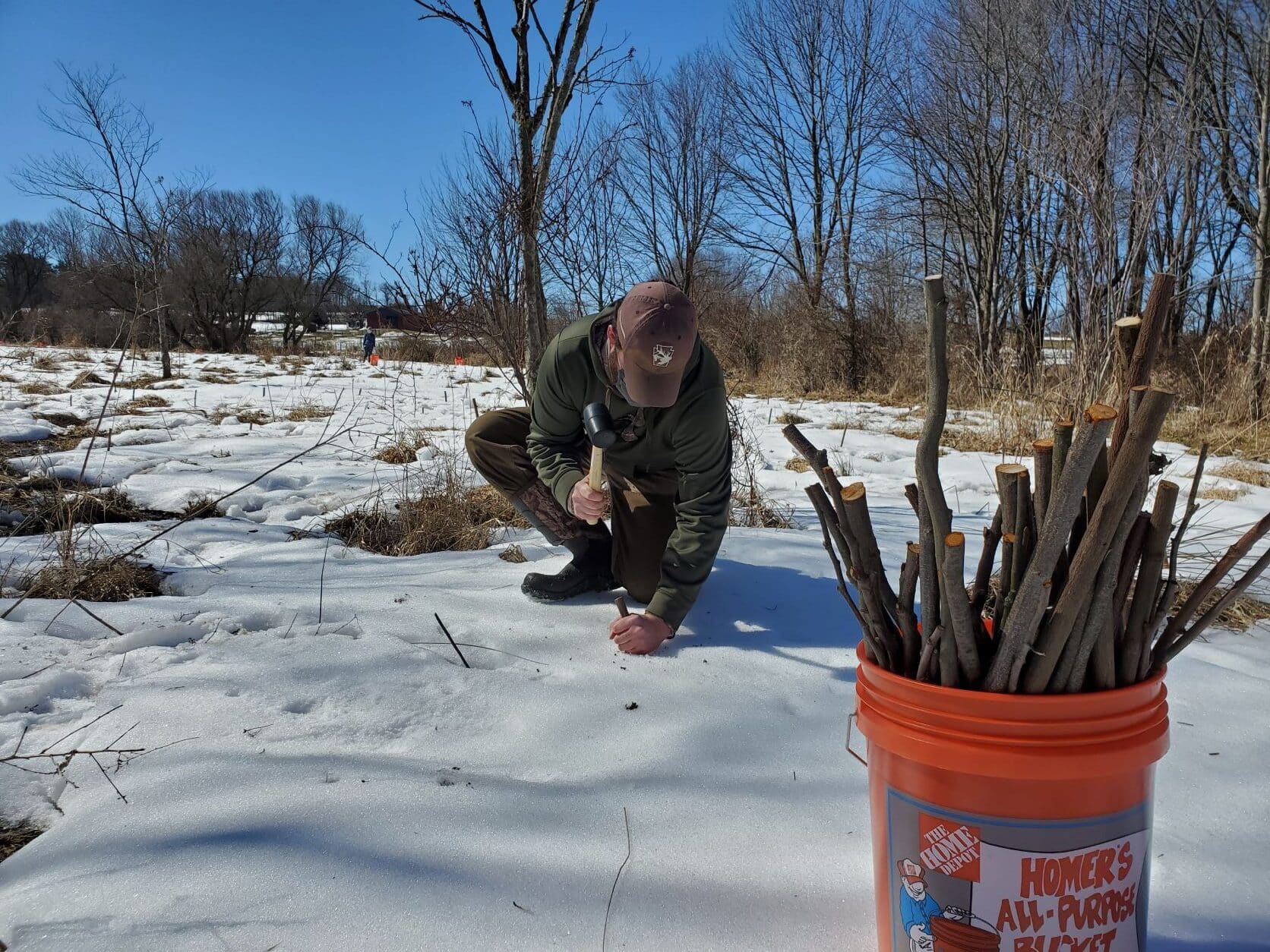 Live Staking 101 Webinar - Alliance for the Chesapeake Bay