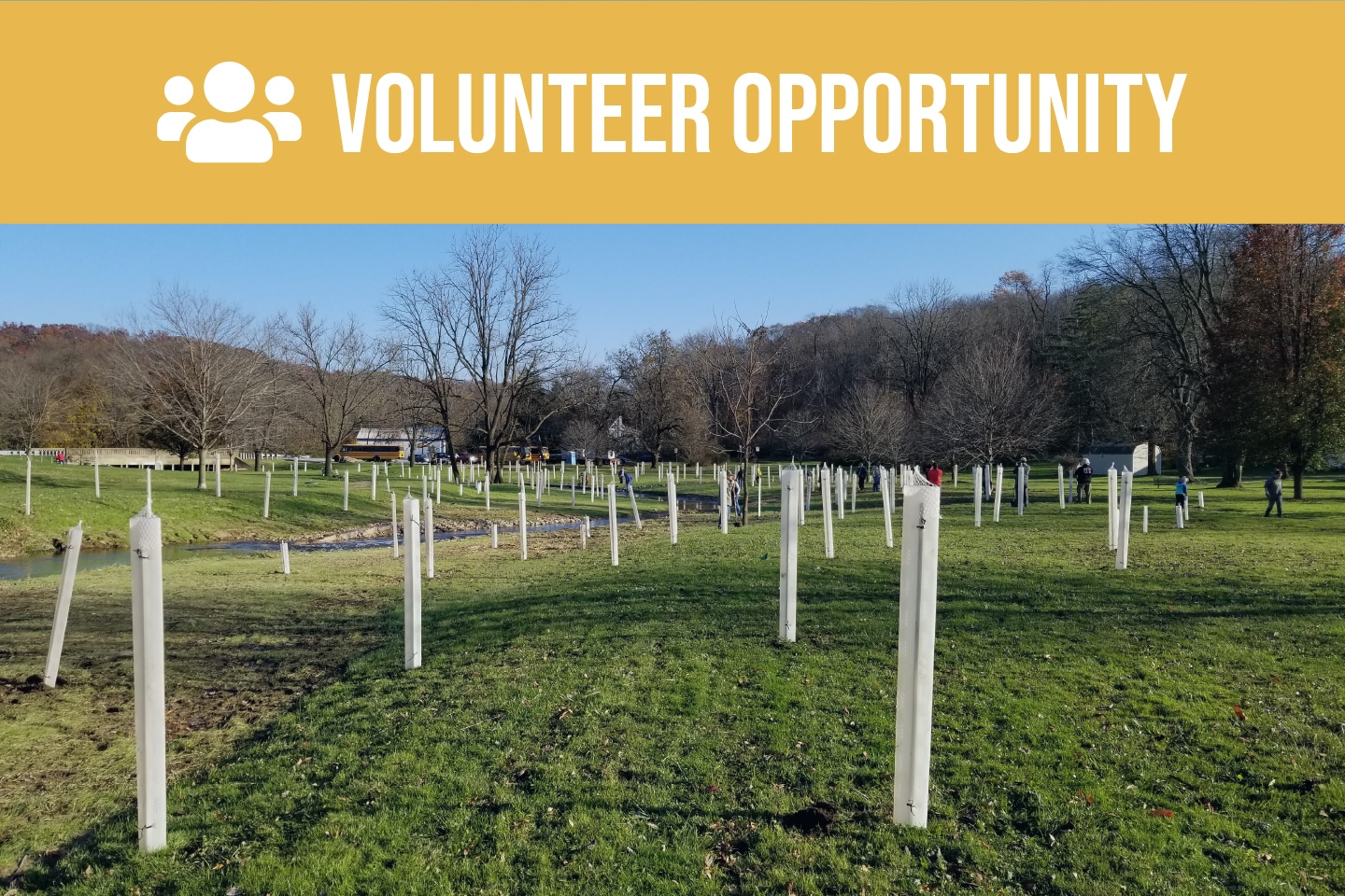 Volunteer Opportunity: Warrenton, VA Tree Planting with Giant ...