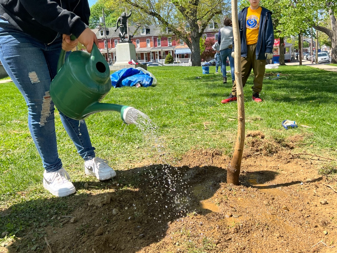 Celebrate Earth Day and Arbor Day With Us! - Alliance for the ...