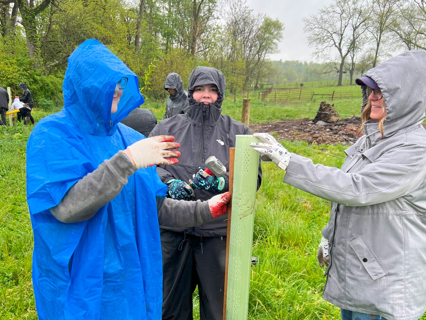 Strong Partnerships Yield More Sustainable Farms - Alliance for the ...