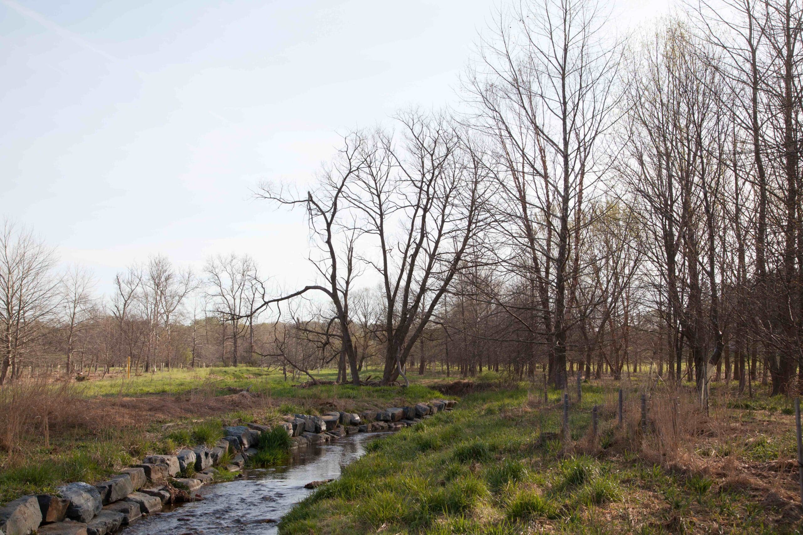 Made in the Shade: Environmental Conservation & Plein Air Artmaking ...