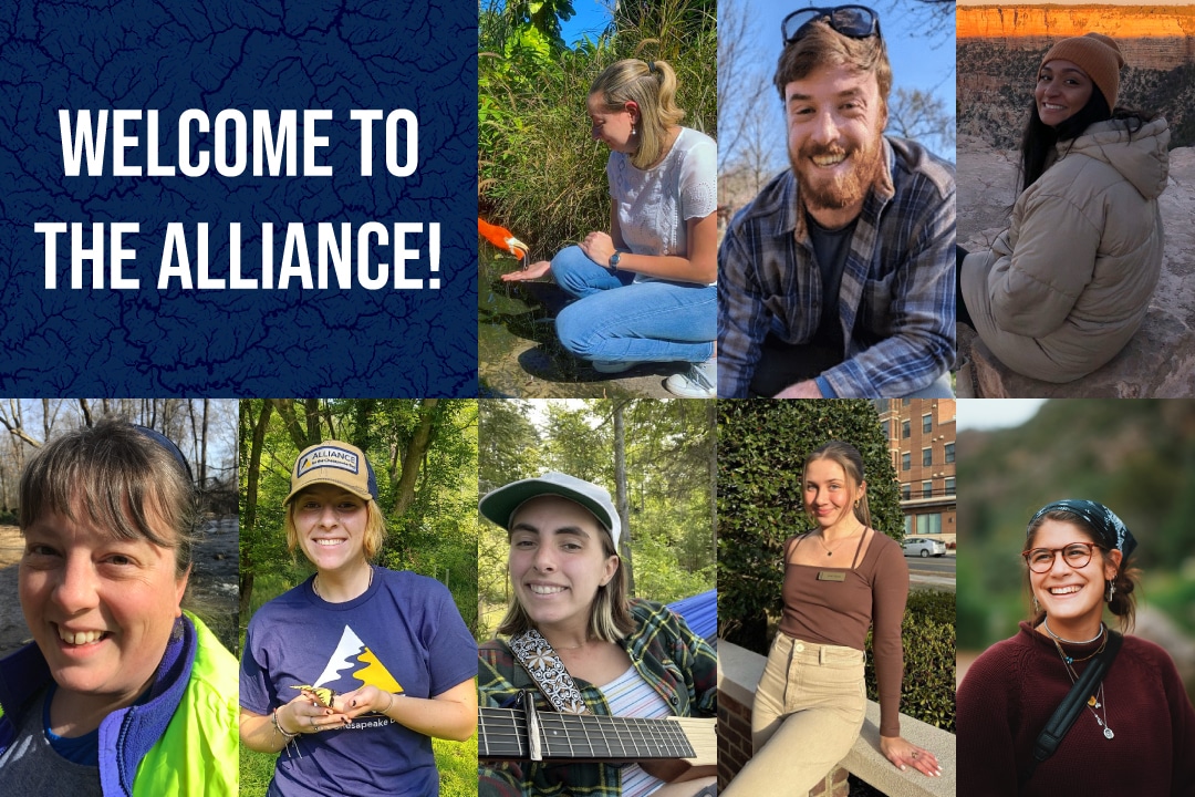 Welcome, New Alliance Team Members! - Alliance for the Chesapeake Bay