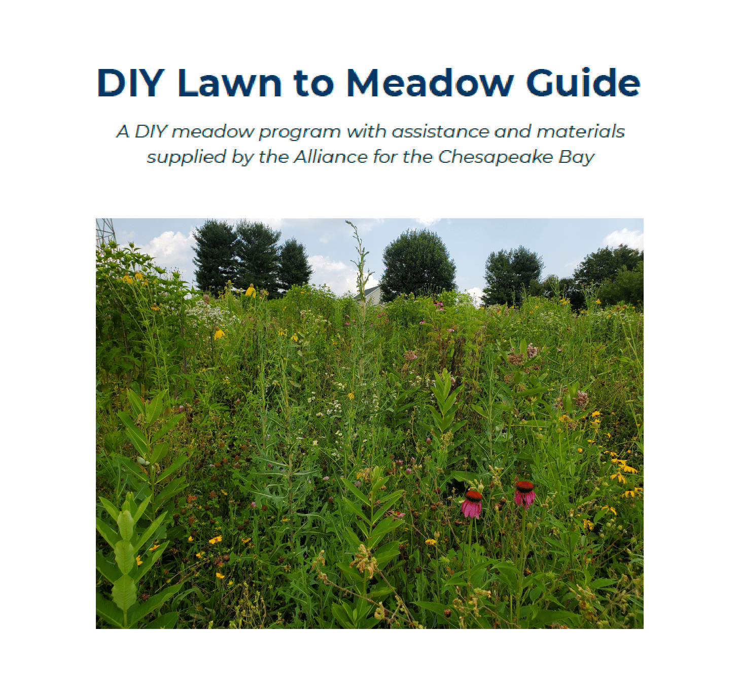 Pennsylvania Lawn Conversion Project - Alliance for the Chesapeake Bay