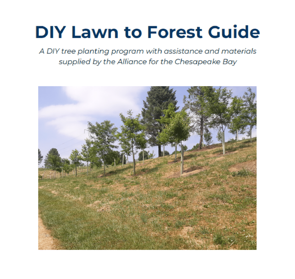 Pennsylvania Lawn Conversion Project - Alliance for the Chesapeake Bay