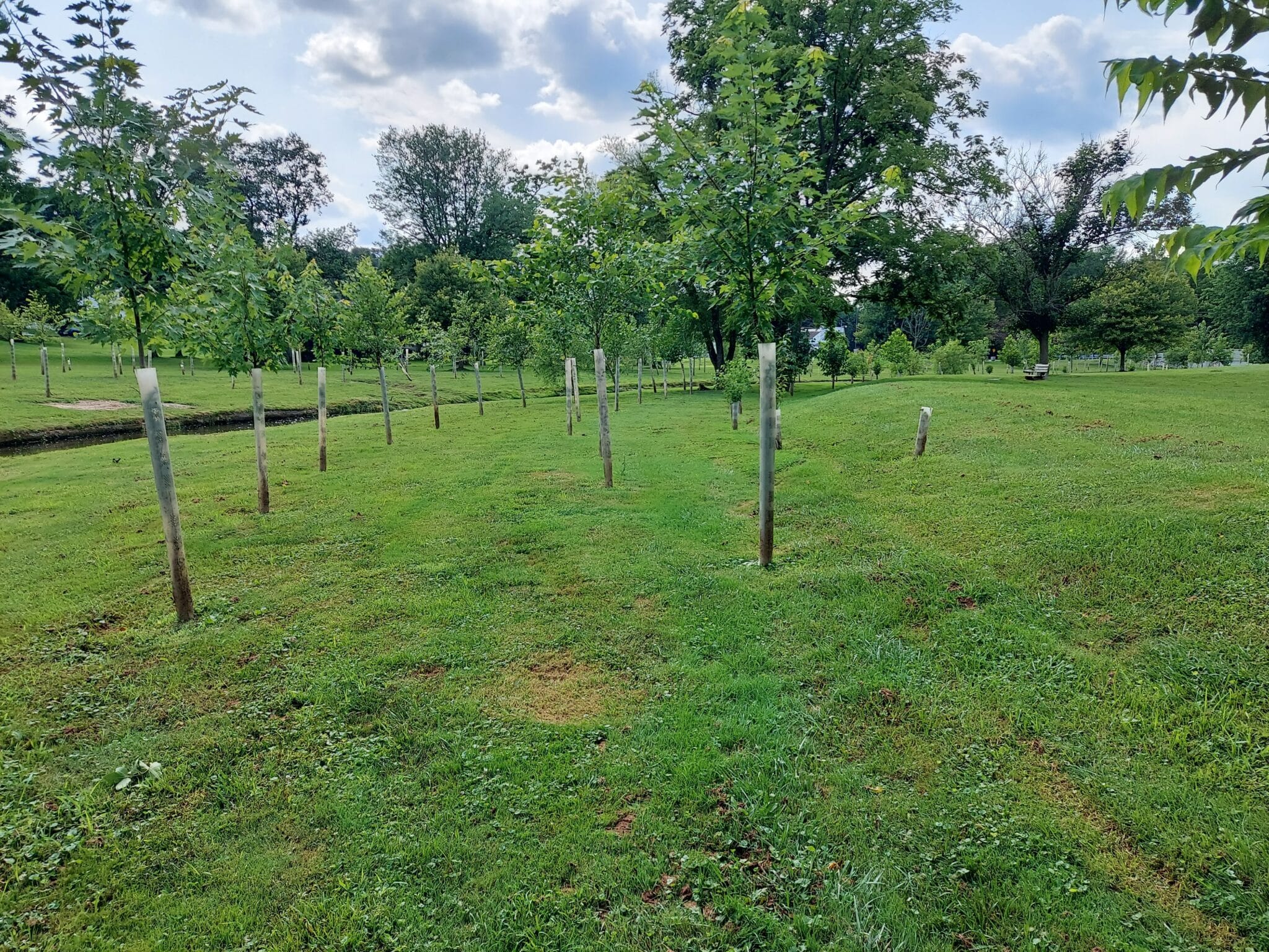 Pennsylvania Lawn Conversion Project - Alliance for the Chesapeake Bay