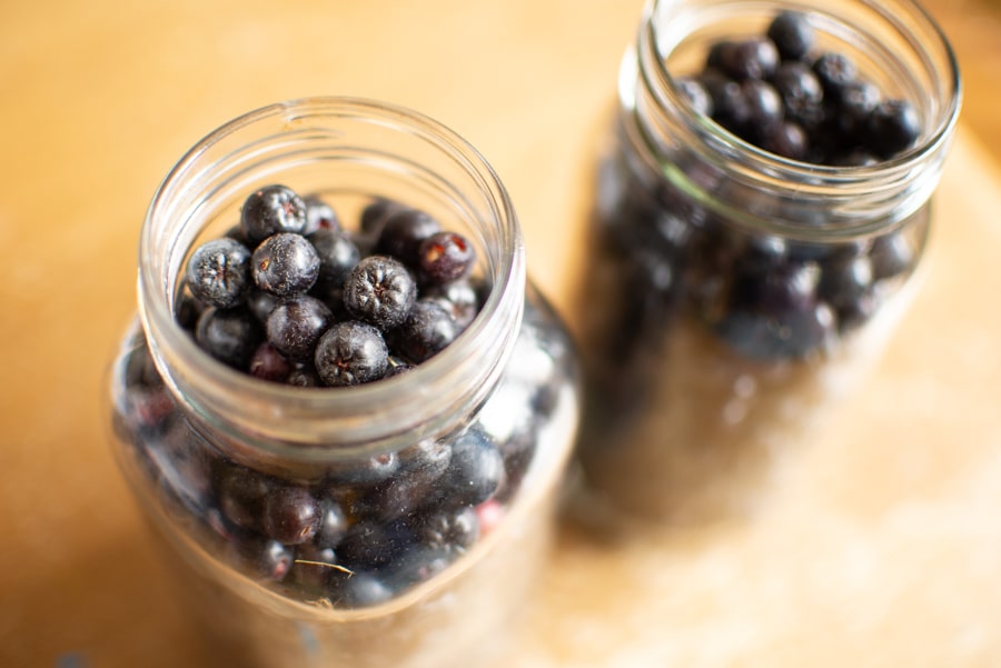 Native Plant Recipe: Black Chokeberry Jelly - Alliance for the Chesapeake Bay