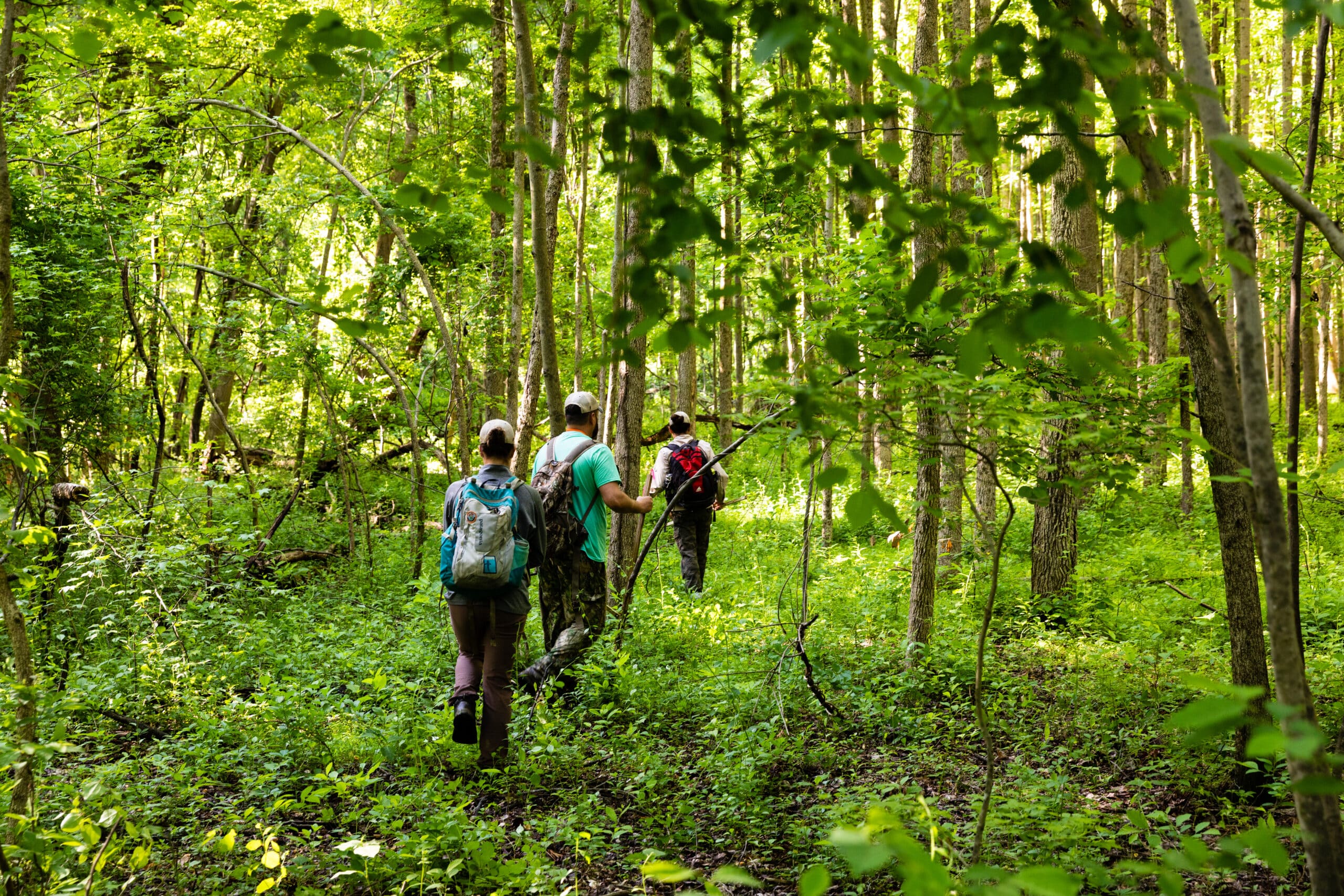 Woodland Stewardship Network Conference (Webinar) - Alliance for the ...