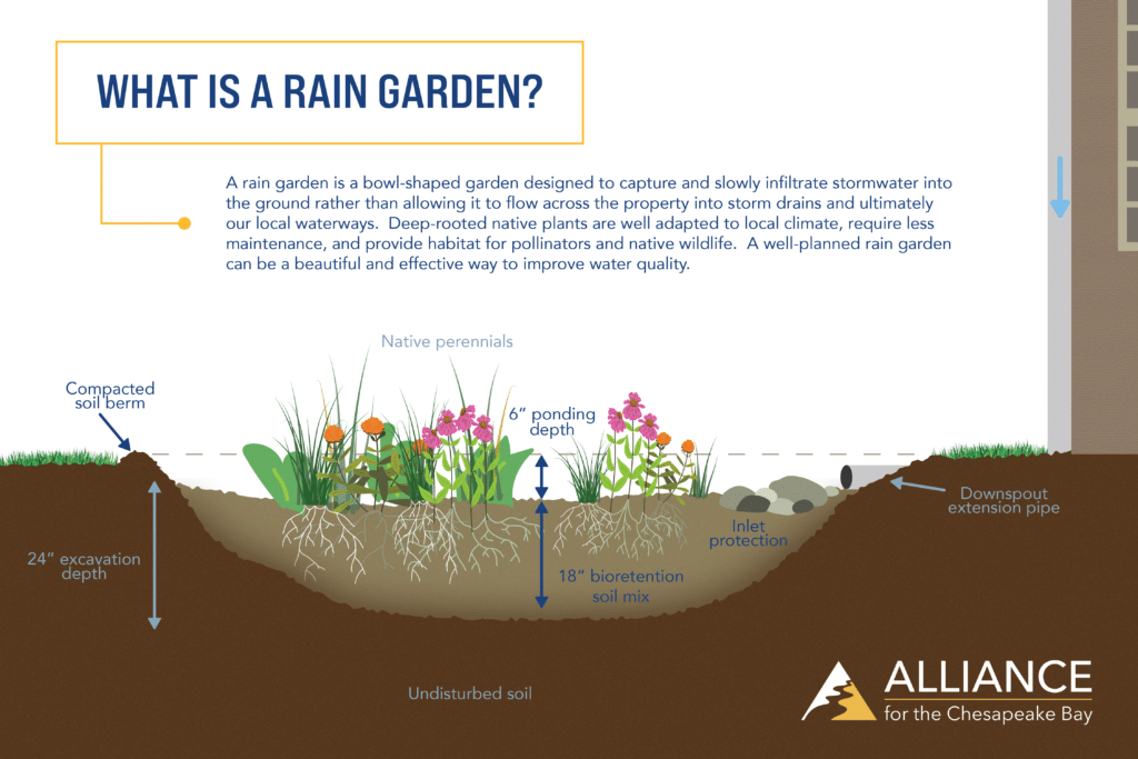 Dig it Yourself: A Rain Garden How-to - Alliance for the Chesapeake Bay