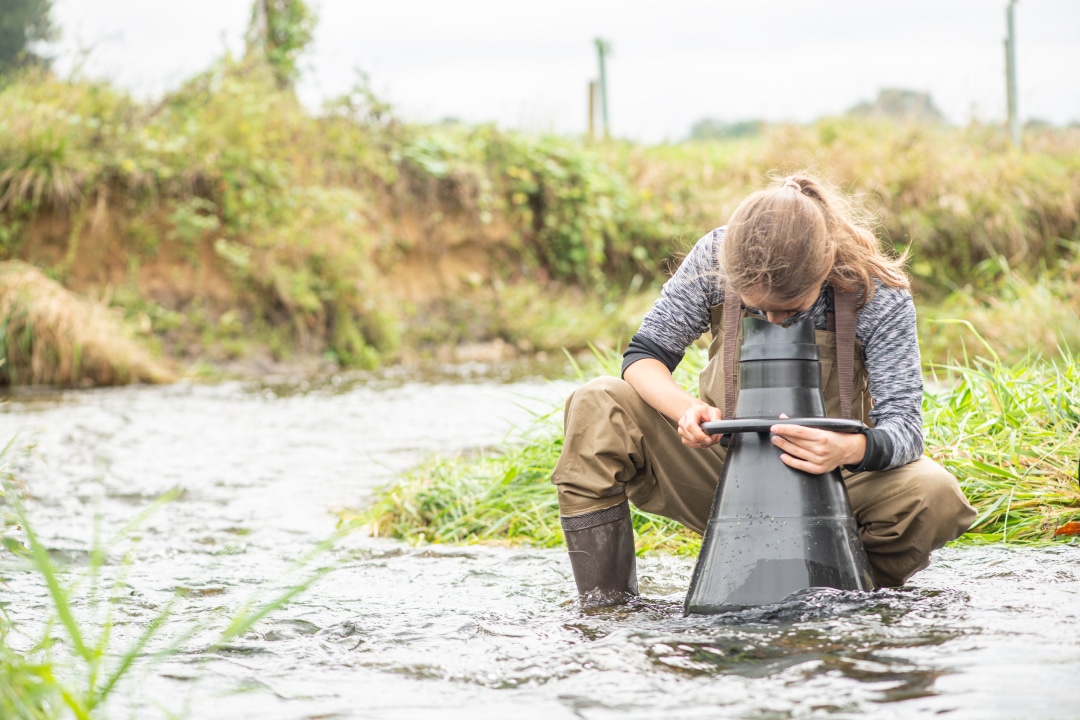 Streamside Science: How We Monitor our Waterways - Alliance for the ...