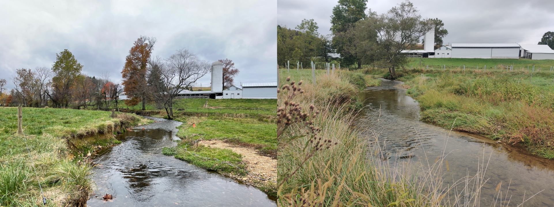 Streamside Science: How We Monitor our Waterways - Alliance for the ...