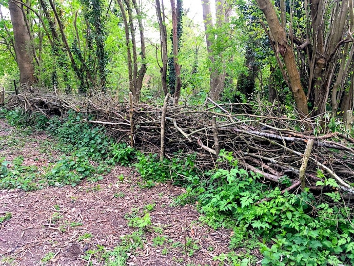 Are You Wasting Your Yard Waste? - Alliance for the Chesapeake Bay