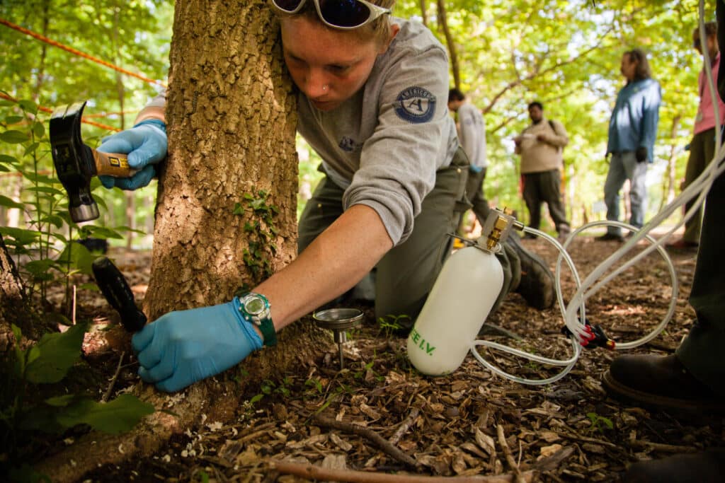 The Dos and Don’ts of Invasive Species Management - Alliance for the ...