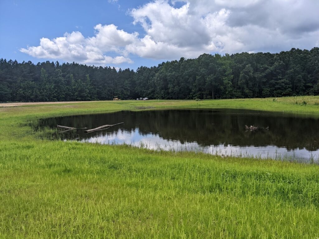 Restoring Wetlands at Cedar Point Wildlife Management Area - Alliance ...