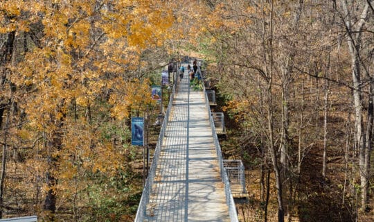 Alliance for the Chesapeake Bay | 50 Years of Conservation