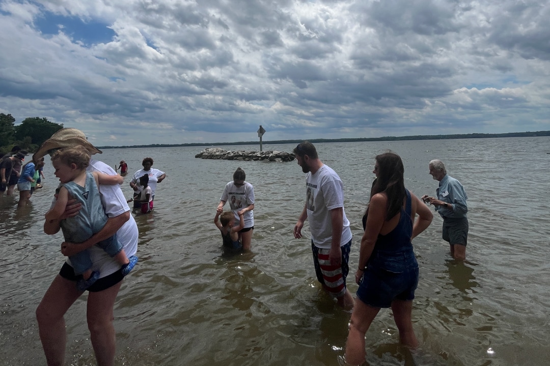 Blog - Alliance for the Chesapeake Bay
