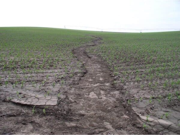 The How and Why of Conservation Tillage - Alliance for the Chesapeake Bay