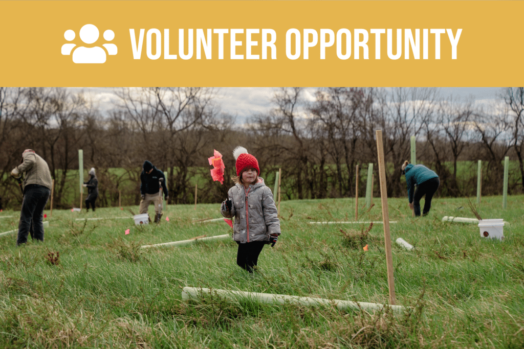 Tree Planting In Lancaster Alliance For The Chesapeake Bay