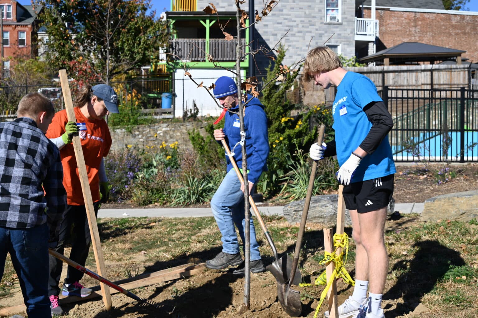 Reduce Your Stormwater: Urban Trees - Alliance for the Chesapeake Bay