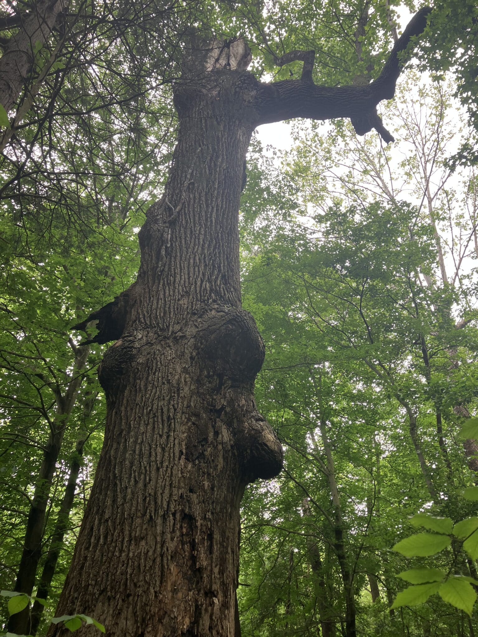 Return to Uhler: Reflections & Takeaways - Alliance for the Chesapeake Bay