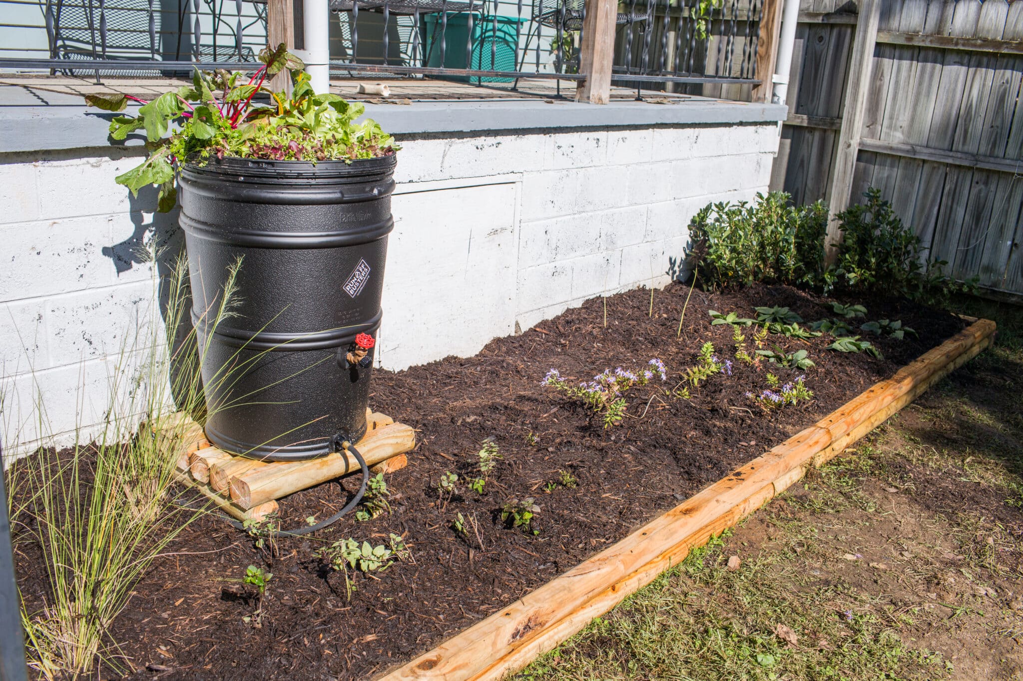 Reduce Your Stormwater: Rain Barrels - Alliance for the Chesapeake Bay